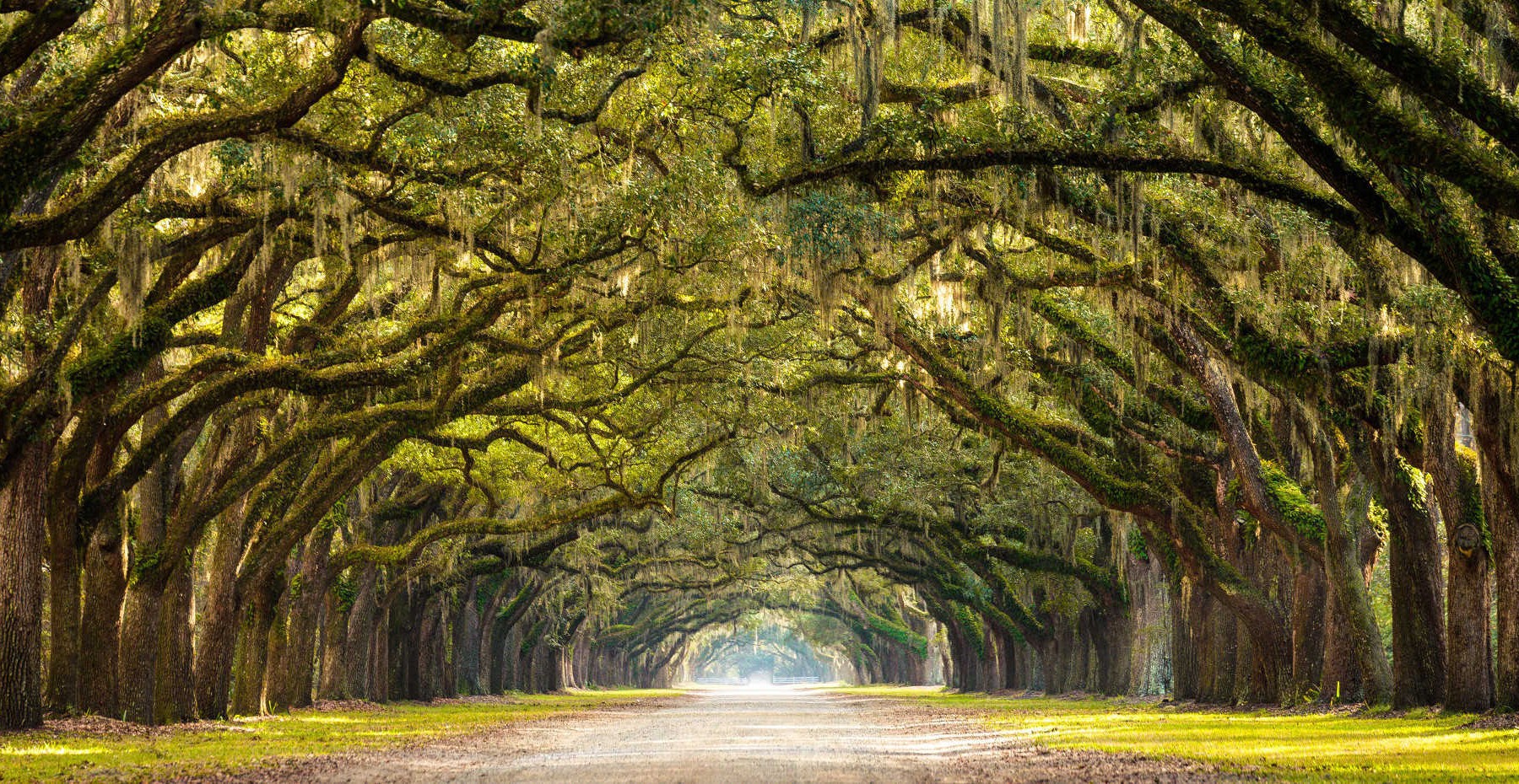 Doing Business in Savannah | Savannah Living and Business Climate